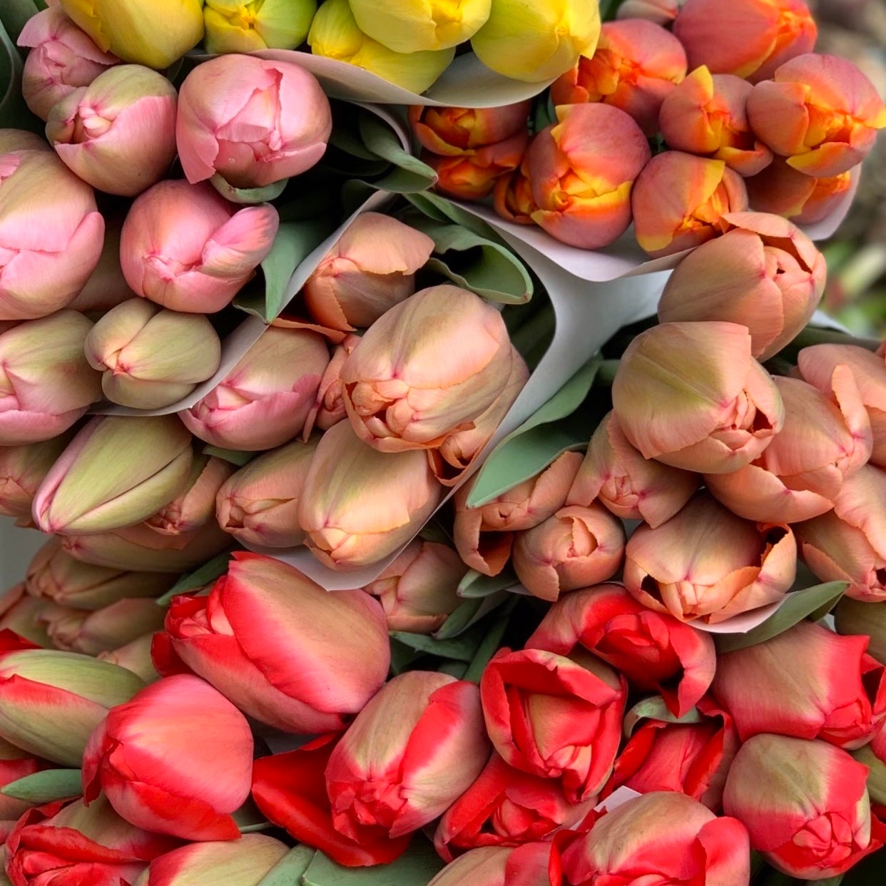 Extra Small Flower Bouquet. Orders taken early summer 2024 to October 1 ...